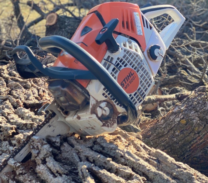 Top Tier Tree LLC – Tree Removal, Stump Grinding, Tree Trimming ...