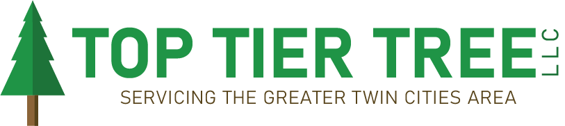 Top Tier Tree LLC – Tree Removal, Stump Grinding, Tree Trimming ...