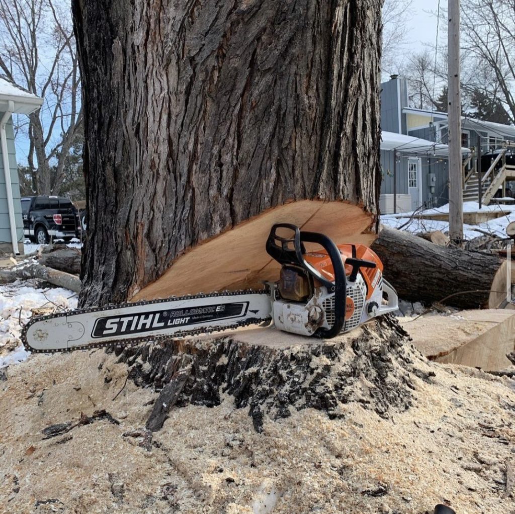 Tree Removal – Top Tier Tree LLC